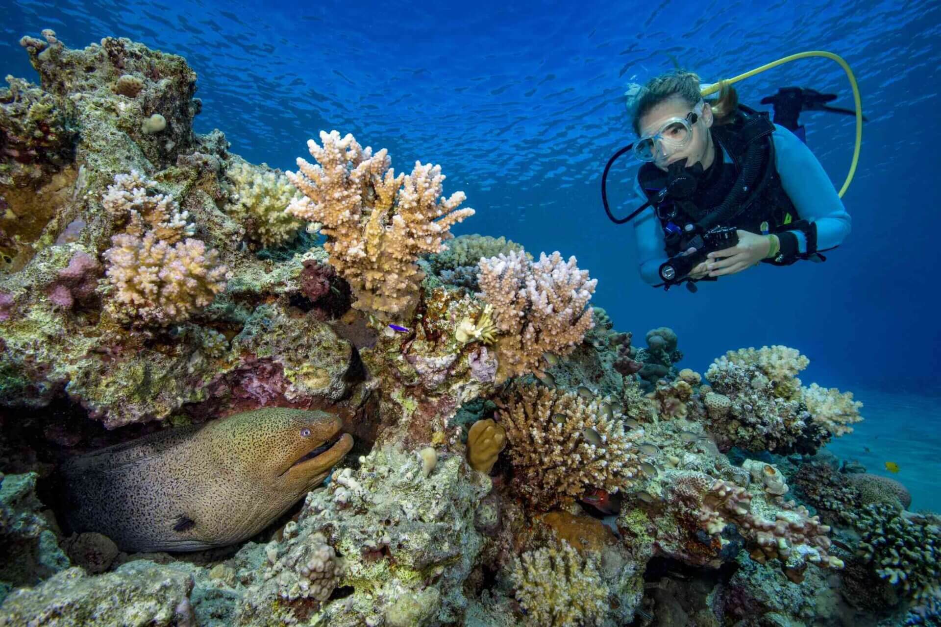 Hurghada For You - Trips in Hurghada